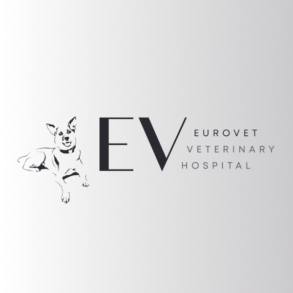 Реабілітація тварин у Львові — ветеринарна клініка EuroVet